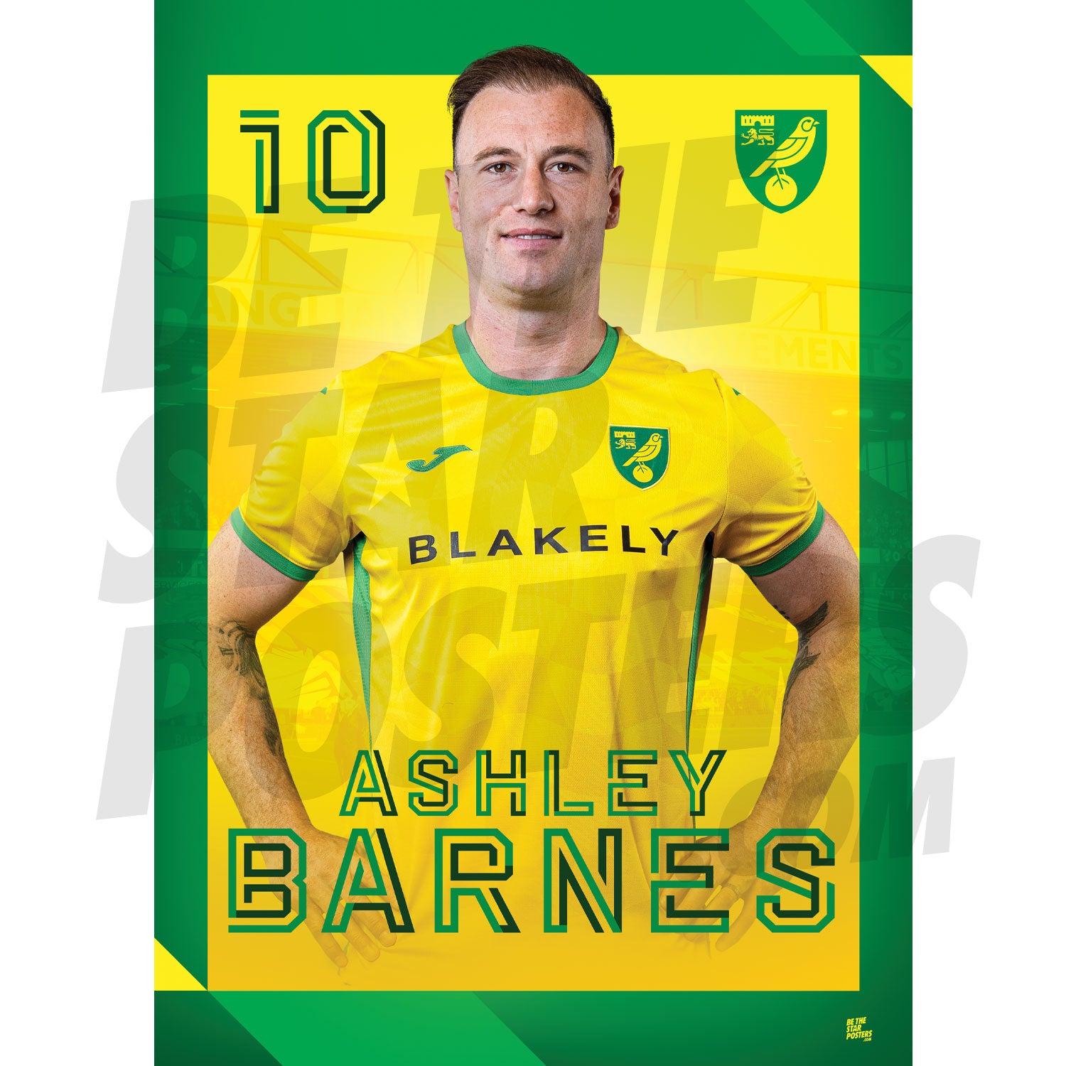 Norwich City FC | Barnes 24/25 Headshot Poster | Be The Star Posters ...