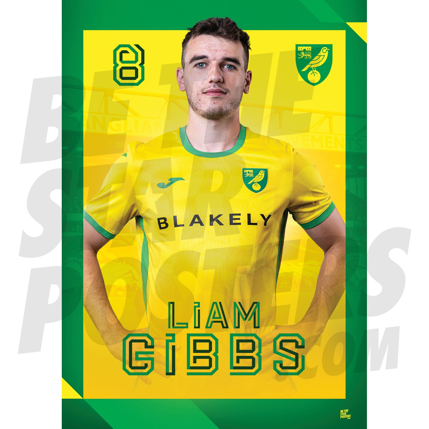 Norwich City FC | Gibbs 24/25 Headshot Poster | Be The Star Posters ...