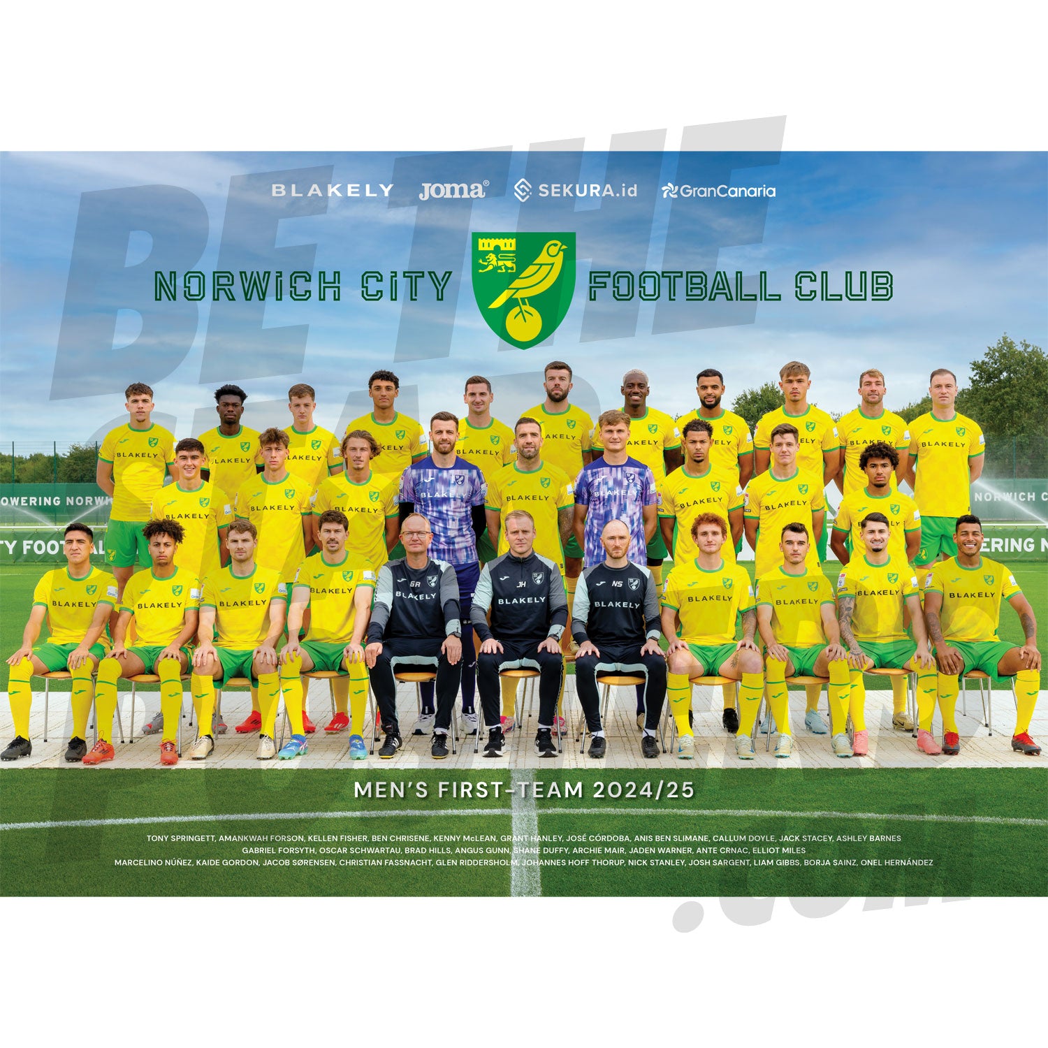 Norwich City FC | Men's 24/25 Squad Team Poster | Official Print | BTS ...